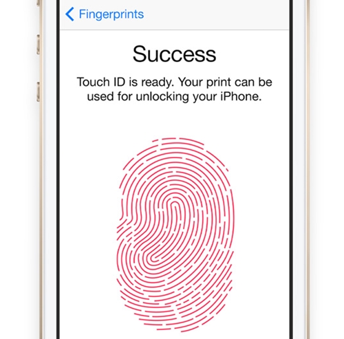 All You Need to Know about the Apple iPhone 5S and iPhone 5C ...