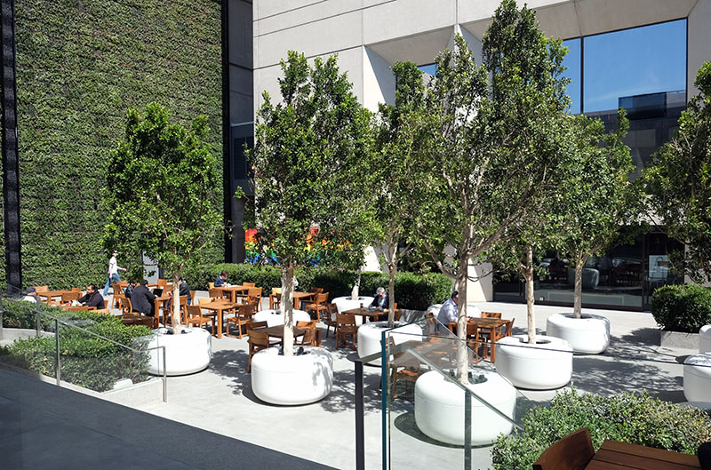 Avenue - iPad : In photos: Apple's new global flagship store in Union ...