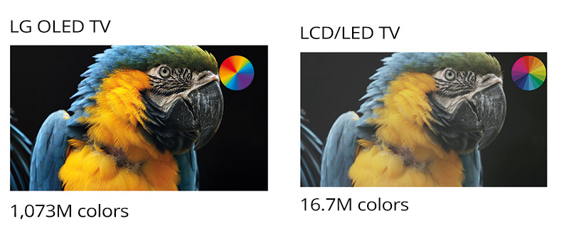 Why 2017 is the year for LG OLED TVs - HardwareZone.com.sg