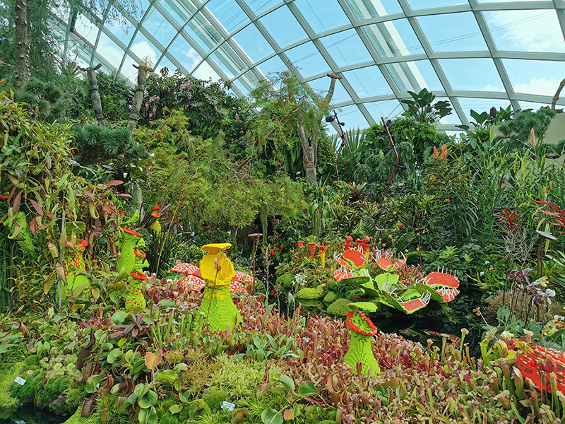 Sample images (cont'd) : Samsung Galaxy S20 Ultra camera review: 108MP ...