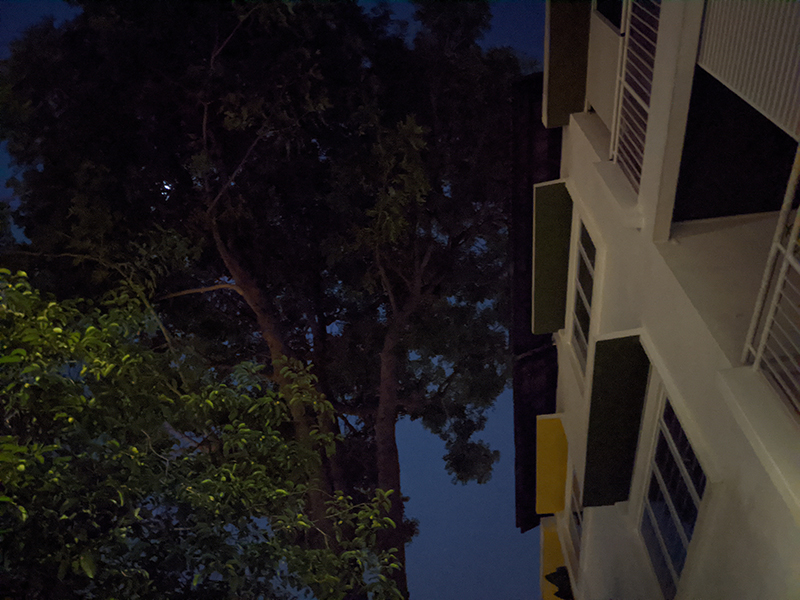 Camera and sample images : Google Pixel 4a review: Great performance at ...