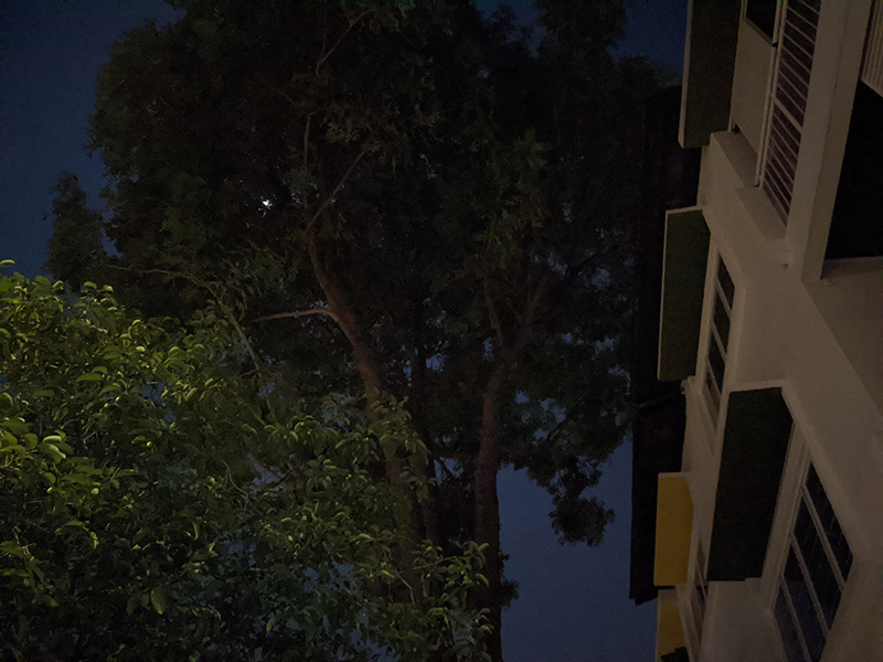 Camera and sample images : Google Pixel 4a review: Great performance at ...