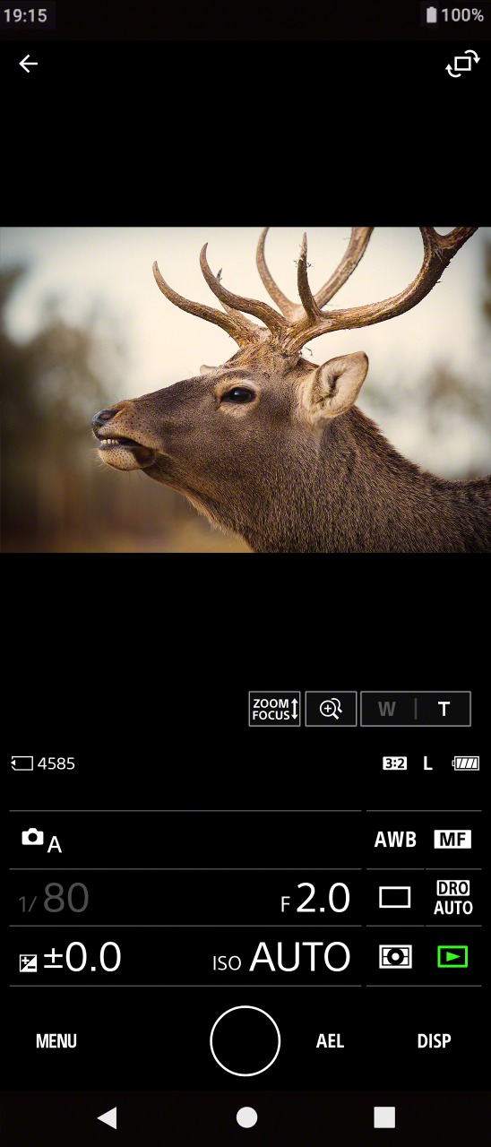 Sony’s Creators' App now allows you to upload photos from supported ...